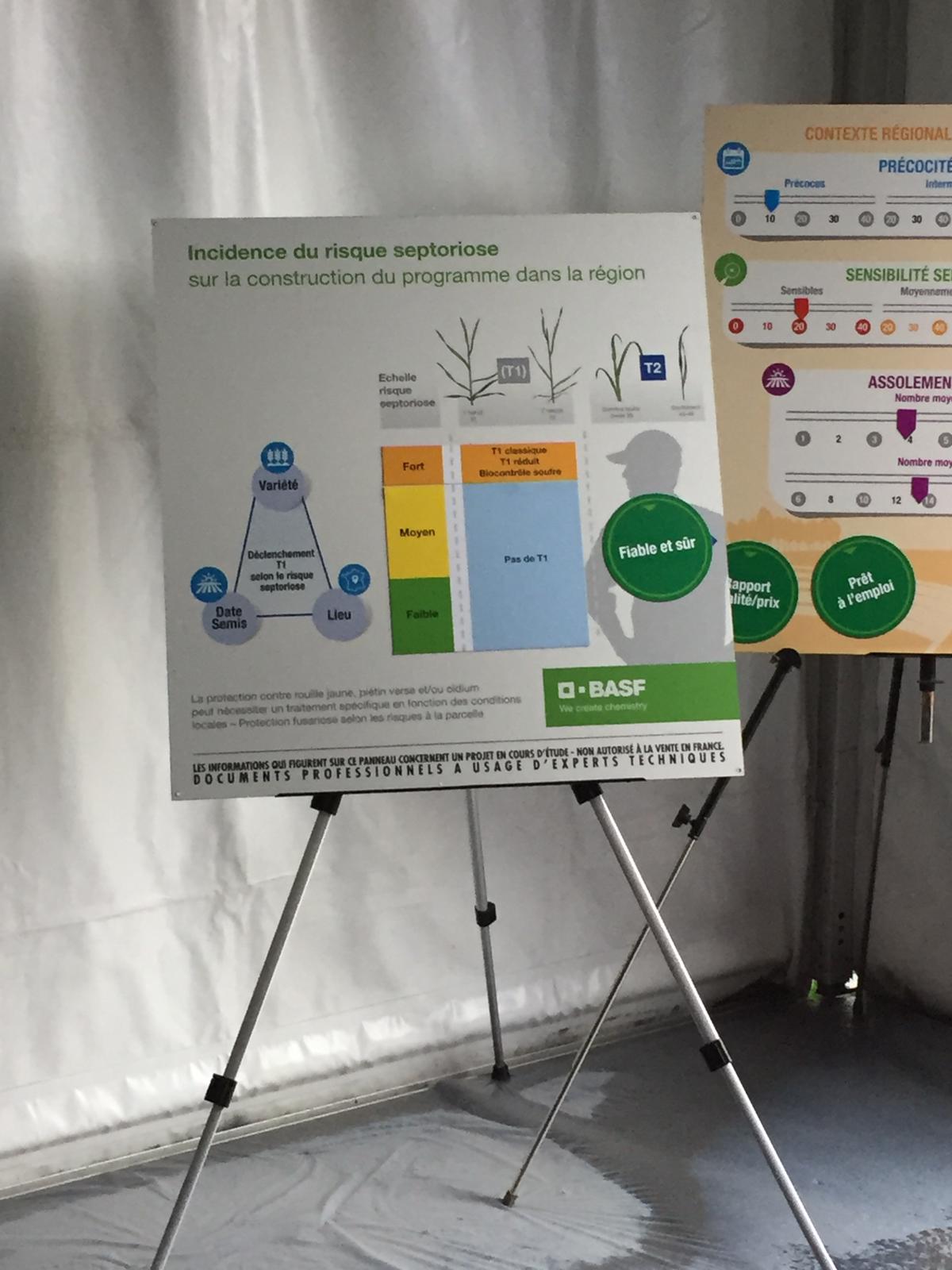 BASF : Le nouveau fongicide Revysol devrait arriver en France pour la ...